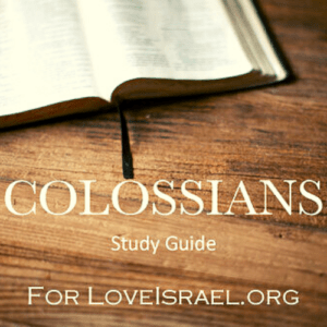 Read the Study Guides of LoveIsrael | Old and New Testament.