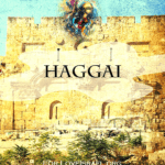 Read the Study Guides of LoveIsrael | Old and New Testament.