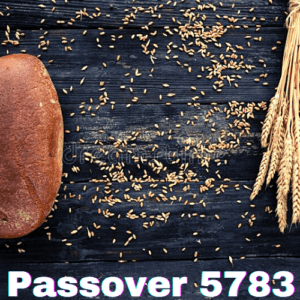 Bible Festivals according to the Hebrew Scriptures.